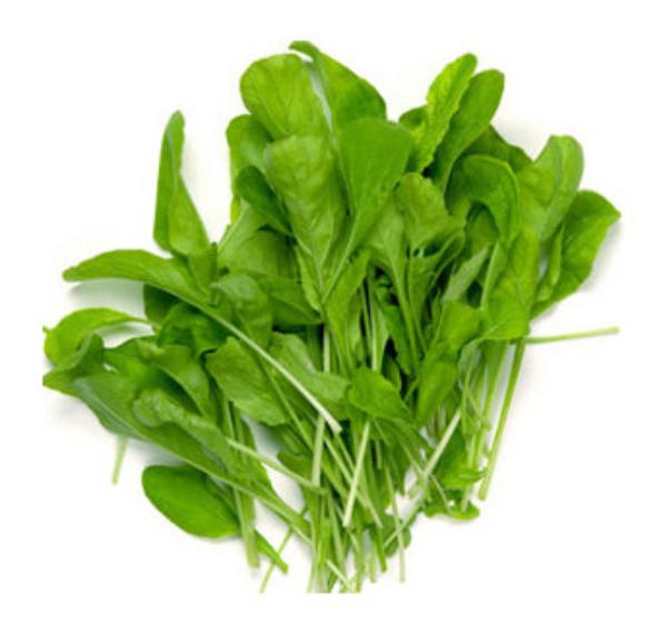 Faz Feira | Rúcula - UN