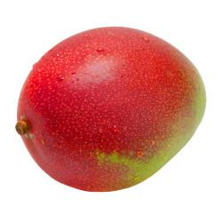 Mercado Milênio | MANGA ROSA KG