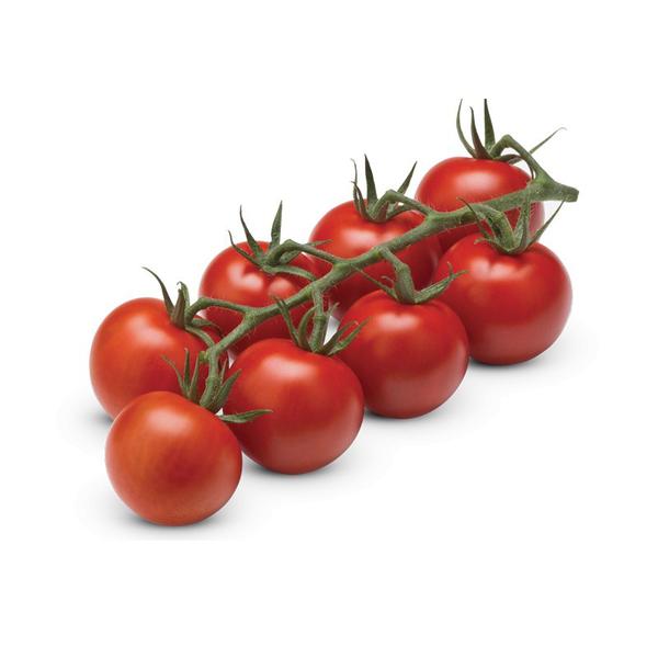 Empório Norte Sul | TOMATE COCKTAIL BDJ