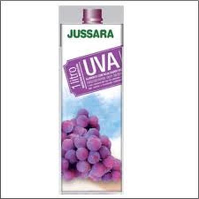 Loja 09 (Av Belvedere) | ALIMENTO JUSSARA 1L SOJA UVA